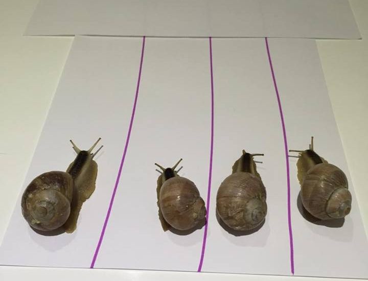 Recette Dwida Mfawra (cheveux d'ange à la vapeur)